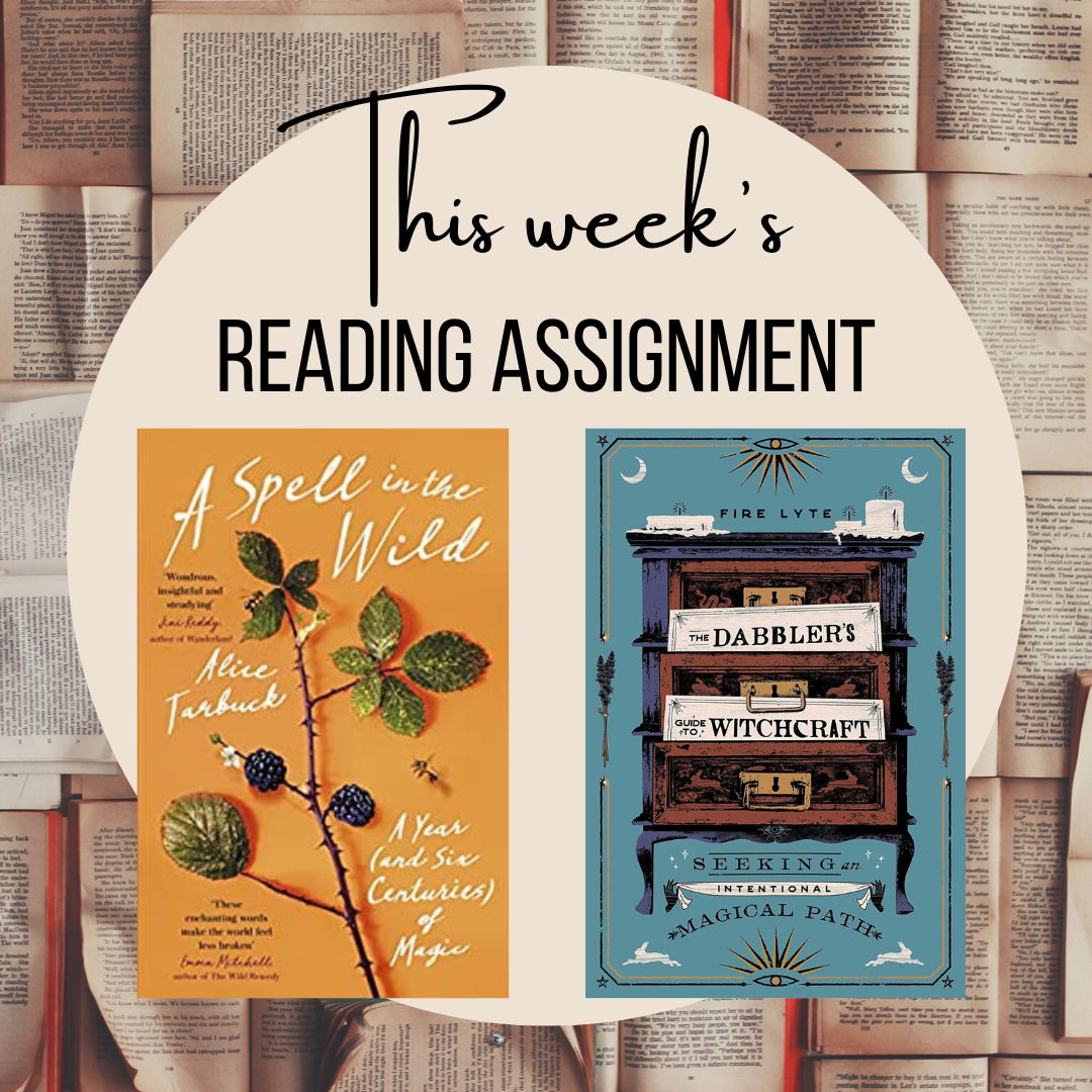 Reading Assignments – Jenn Lessmann